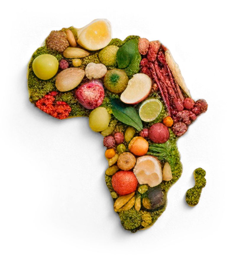 Food Safety for Africa