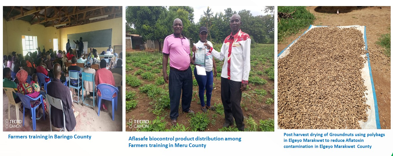 Farmers & Stakeholders Day: Training sessions for groundnut production ...