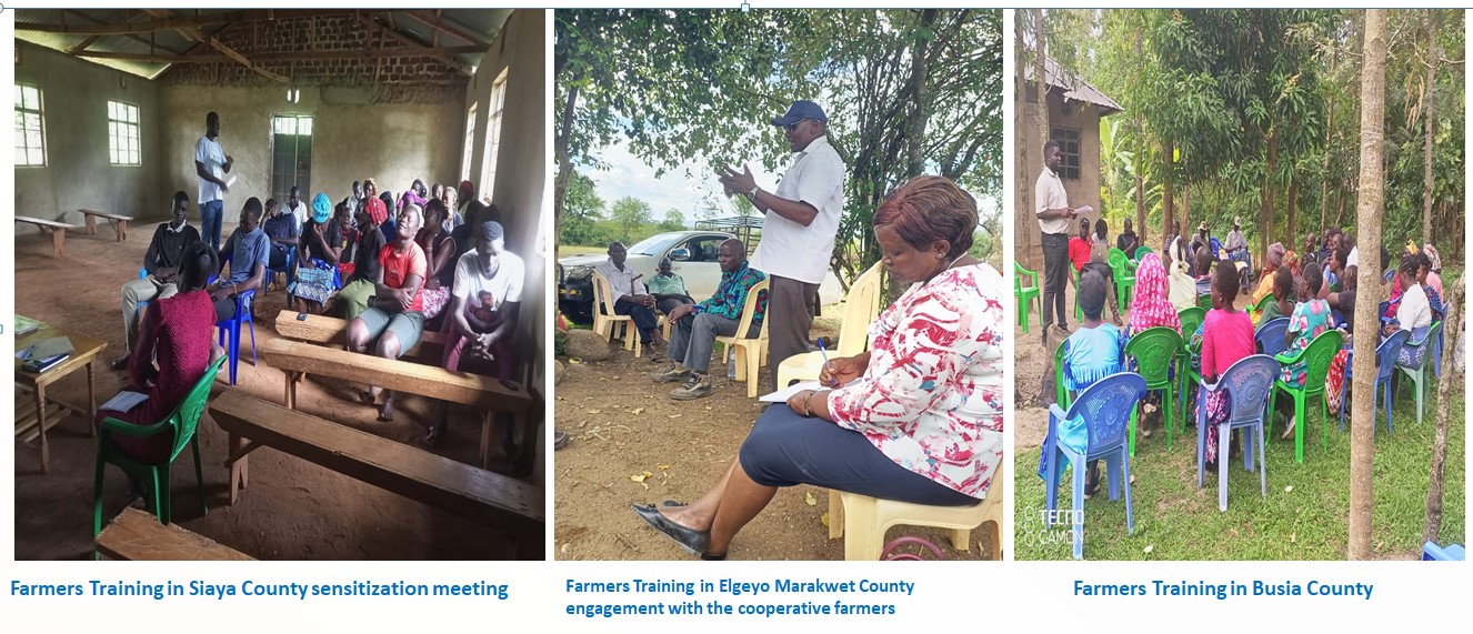 Farmers & Stakeholders Day: Training sessions for groundnut production ...