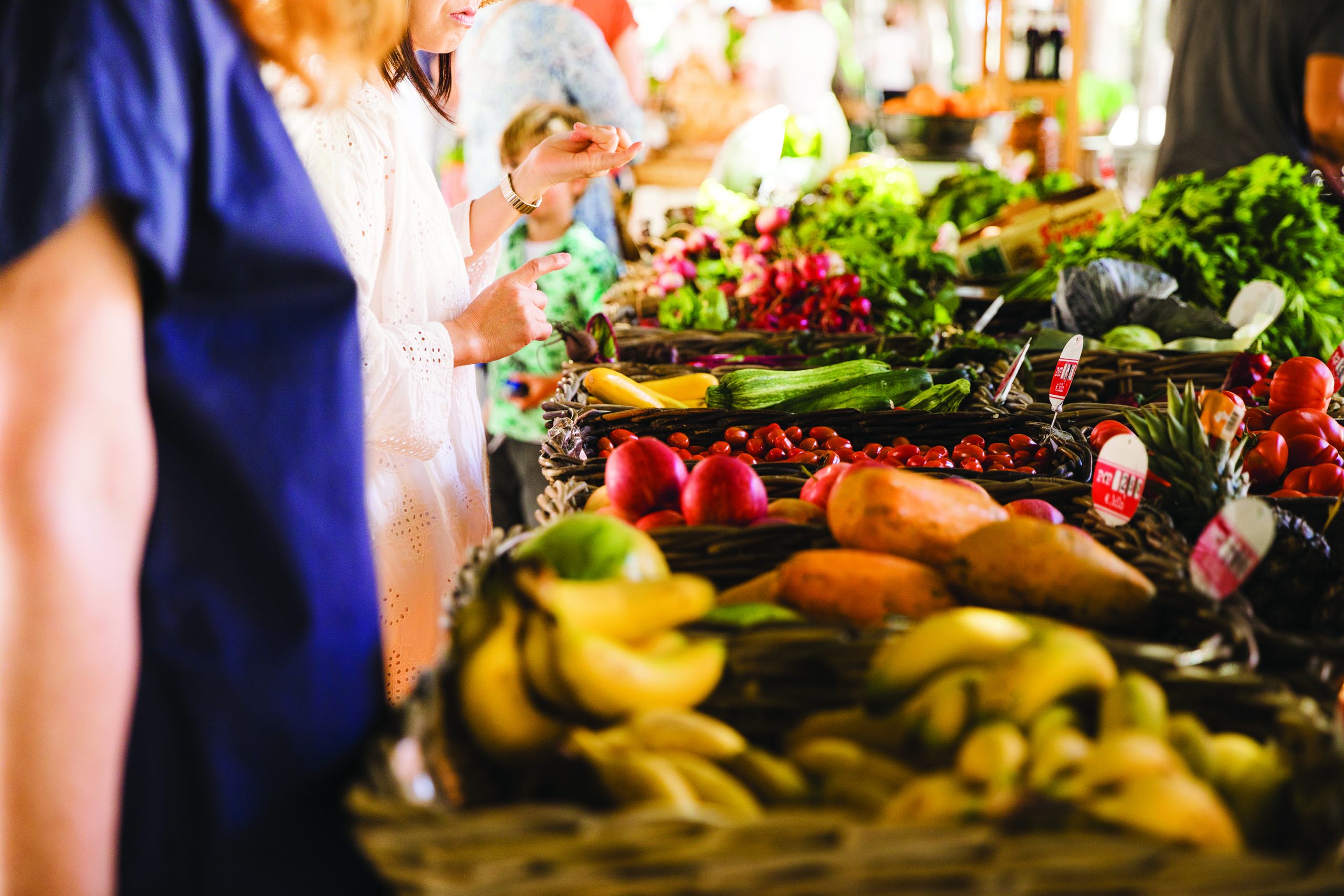 Advancing Food Safety in Africa’s Informal Sector